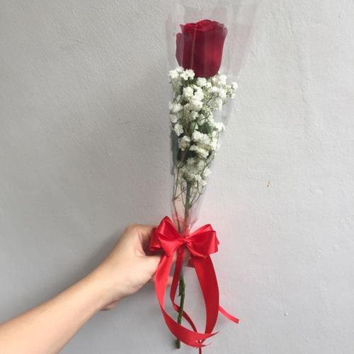 Jual Buket Bunga Rose Setangkai - 1tangkai - Fresh Flowers - Jakarta ...