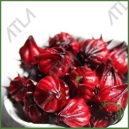Jual Benih Tanaman Bunga Rosella Merah 10gram Bibit Biji Teh Herbal ...