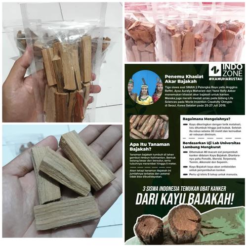Jual Kayu Bajakah 1kg / Akar Kayu Bajakah Asli Dari Kalimantan ...