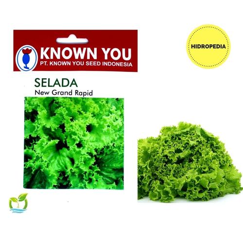 Jual Benih Bibit Lettuce Selada New Grand Rapid (5 gr) Known You Seed Berk - Kota Cirebon ...