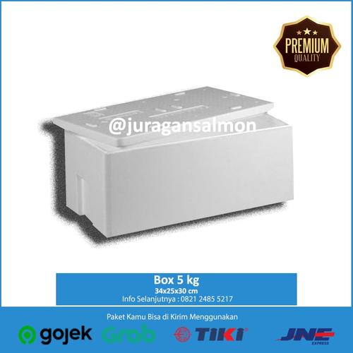 Jual Styrofoam box 5 kg / Styrofoam ikan segar/ cool box/ice box ...