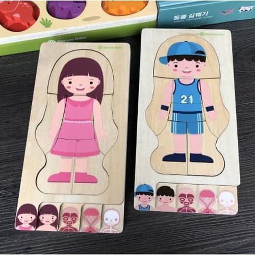Jual HUMAN BODY PUZZLE 5 layer/ mainan edukasi mengenal tubuh manusia ...