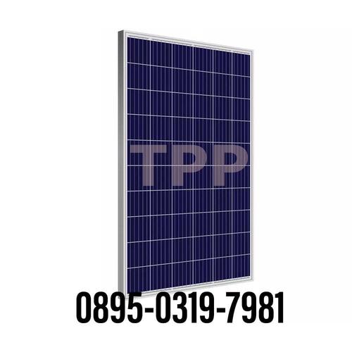 Jual PROMO Panel Surya Poly 300 WP 310 WP Solar Panel 300WP 310WP ...