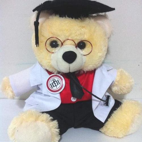 Jual Boneka Profesi Dokter Cowok dan Perawat / Nurse 30cm - ukuran 30cm ...