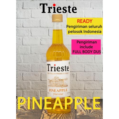 Jual Trieste Syrup rasa Pineapple - Kota Bandung - Trieste Syrup ...