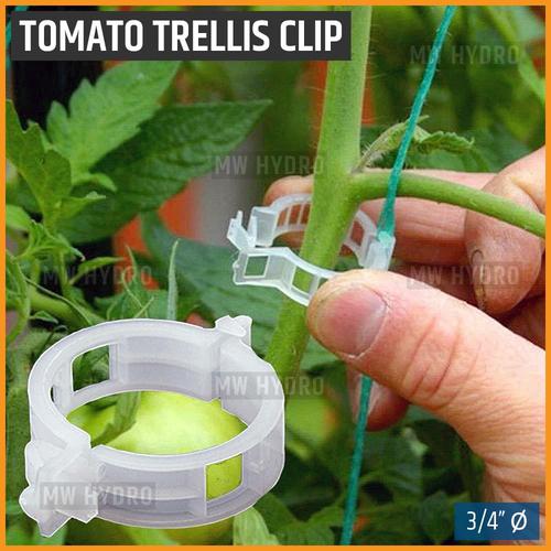 Jual Tomato Trellis Clip / Plant Clip - Klip Tali Lanjaran Tanaman ...