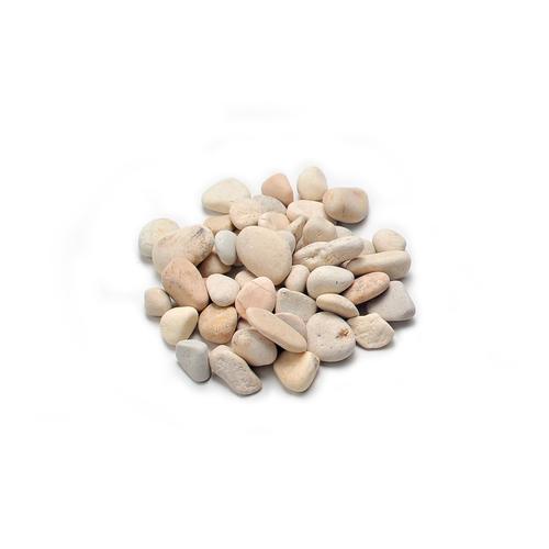 Jual Batu Koral Kupang Krem Untuk Taman Terrarium & Aquascape 10Kg (4rb ...