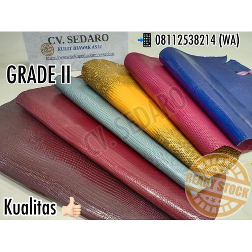 Jual Kulit Biawak Asli Grade II Semua Ukuran, Berbagai Warna - 35upCm ...