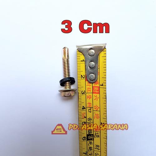 Jual Paku Roofing Kuning 3 Cm / Skrup Holo Besi Baja 30mm / Sekrup ...