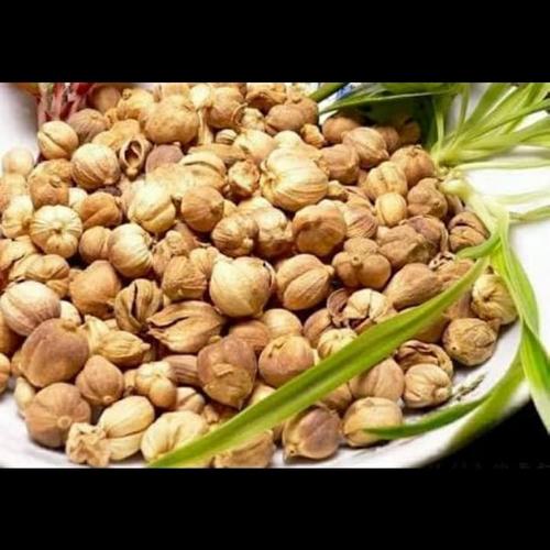 Jual Kapulaga Jawa 500gr Kapulaga Utuh - Kab. Sidoarjo - GoodCheap ...