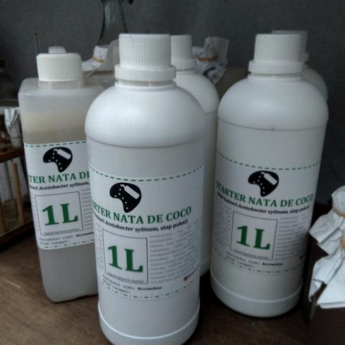 Jual BIBIT BAKTERI ACETOBACTER XYLINUM (bahan starter nata de coco 1 liter) - Kab. Serang ...