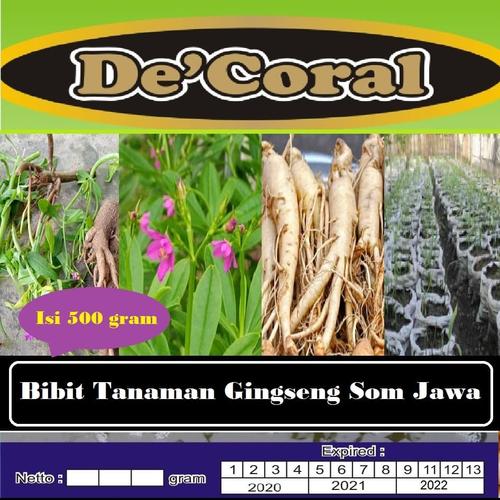 Jual Bibit Ginseng Som Jawa De'Coral 500 Gram - Kota Tangerang - De ...