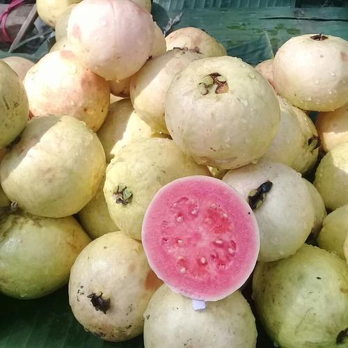 Jual BUAH JAMBU BIJI MERAH 1 KG - Jakarta Selatan - Keanu Fruits ...