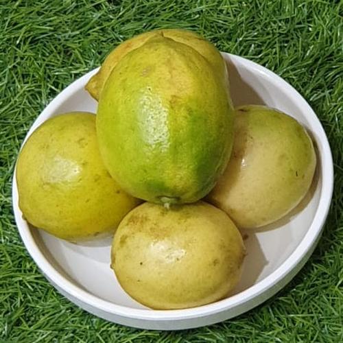 Jual LEMON LOKAL (pack 500gr) - Kota Bogor - Ramora Fresh Market ...