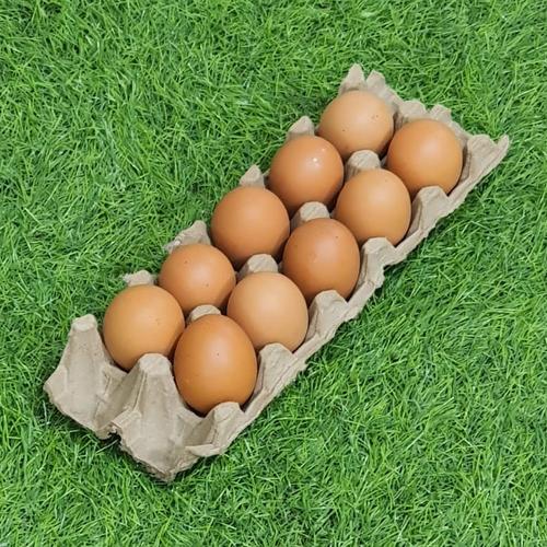 Jual TELUR AYAM (pack @ 10pcs) - Kota Bogor - Ramora Fresh Market ...