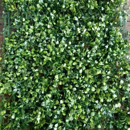 Jual tanaman rambat dollar kecil sintetis - vertical garden - Kab ...