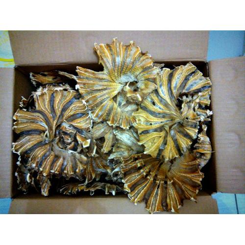 Jual READY Ikan Asin Pari Kipas Harga Grosir 250gr - Kota Surabaya ...