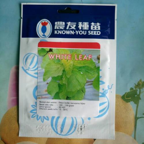 Jual Bayam Hijau Cabut WHITE LEAF 10gr - Kab. Banyumas - Serayu Jaya ...