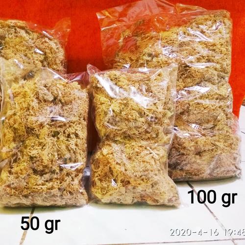 Jual Media tanam spaghnum moss sphagnum mos spagnum lumut putih 50 gr ...