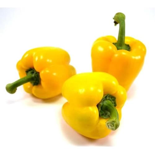 Jual Paprika Kuning segar - Jakarta Barat - Tani Hub | Tokopedia