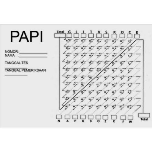Jual Alat Skoring dan Soal psikotes Kepribadian Papi Kostick dan DISC ...