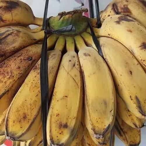 Jual PISANG KEPOK KUNING ( PER SISIR) - SEDANG - Jakarta Selatan ...