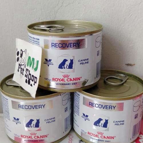 Jual Royal Canin Recovery Wet Food - Kota Depok - MJ Petshop | Tokopedia