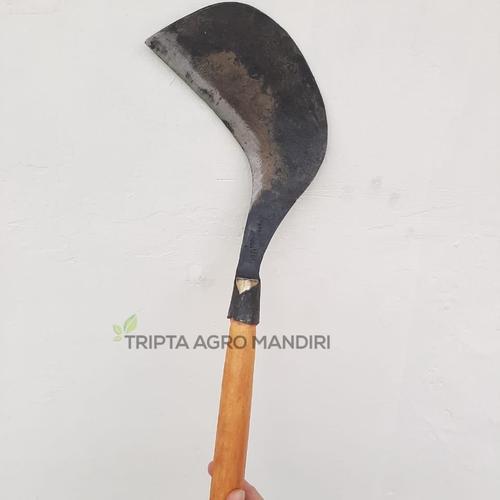Jual Parang Rumput gagang kayu - Jakarta Barat - Tripta Agro Mandiri ...