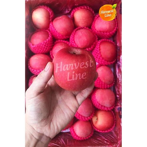 Promo BUAH APEL FUJI PREMIUM 500 gram - Kab. Tangerang - Harvest Line ...