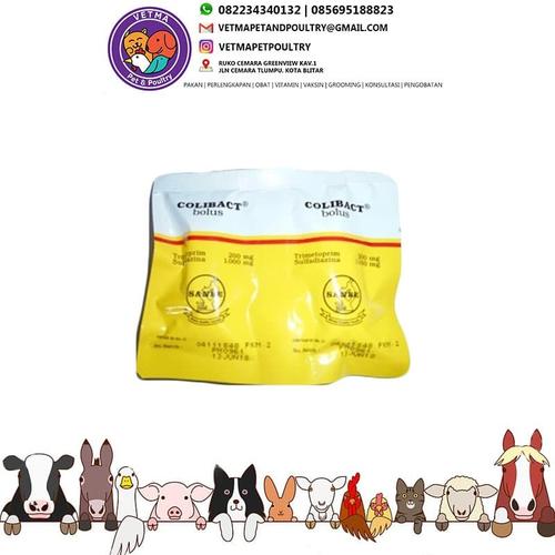 Jual COLIBACT BOLUS ecer 2 biji obat Hewan Ternak Diare Pencernaan ...