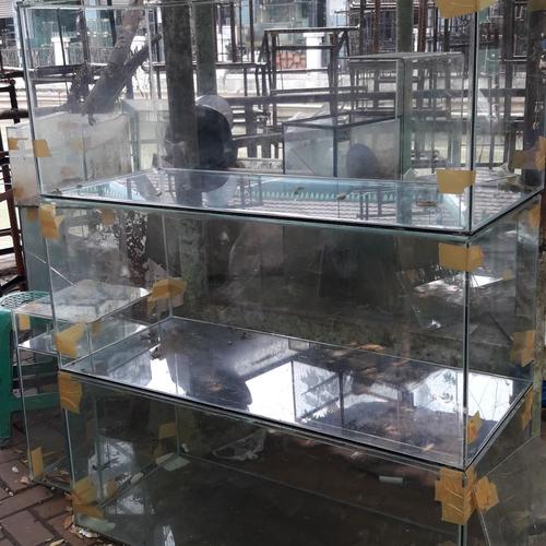 Jual AQUARIUM 100X50X50 KACA FUL 8 MILI +SCOTLET BLAKANG DAN KANAN KIRI ...
