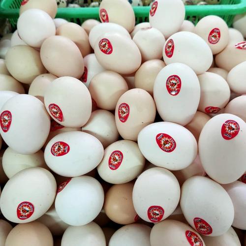 Jual TELUR AYAM KAMPUNG MERAH / OMEGA - Jakarta Barat - Kurnia Telur ...
