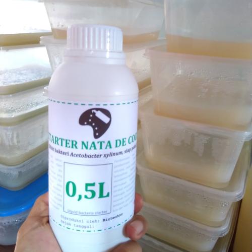 Jual BIBIT/STARTER NATA DE COCO | Acetobacter Xylinum, bakteri bioteknologi - Kab. Serang ...