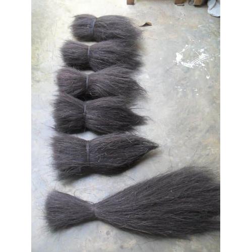 Jual JUAL Ijuk Aren atau Injuk Kawung 1 kg - Kab. Pangandaran - Devan ...