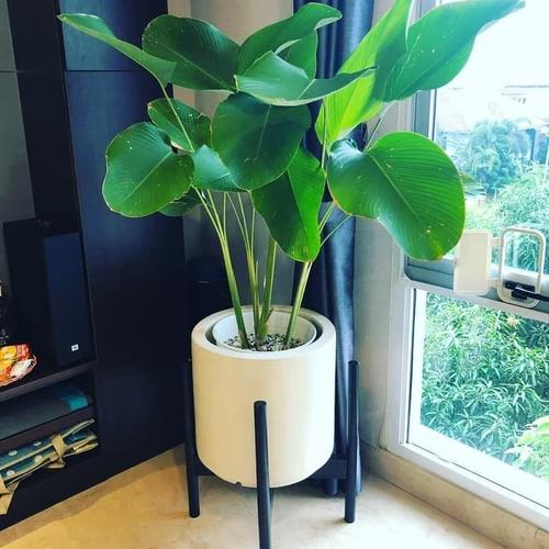 Jual Pot Bunga Teraso Minimalis Silinder Standing Kayu - Kota Depok ...