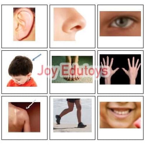 Jual Kartu PECS Body Parts / Anggota Tubuh Laminasi + Velcro - Kota ...