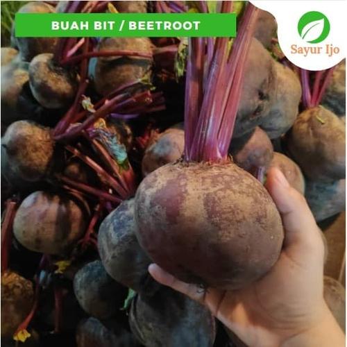 Promo Buah Bit 1 Kg Beet Root Grade A Organic Fresh Sayur Ijo Buah ...
