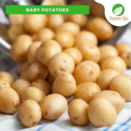 Promo Baby Potatoes 500 Gram Kentang Baby Kecil Rendang Kari Sayur Ijo ...