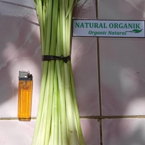 Jual Promo SERAI HIJAU KUALITAS NATURAL ORGANIK! Murah - Kota Bekasi ...