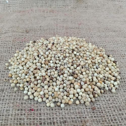 Jual LADA PUTIH/MERICA PUTIH 250 GRAM - Kab. Tangerang - Evie Sembako ...