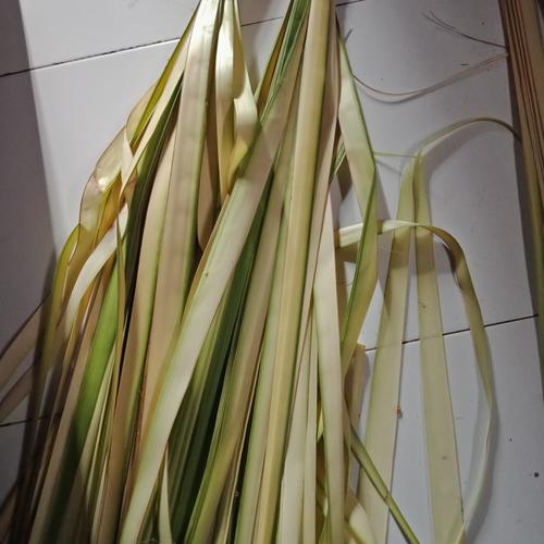 Jual Janur Kelapa Daun Kelapa Untuk Anyaman Ketupat - Jakarta Timur ...