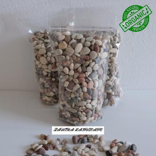 Jual Batu Hias Koral Multi Warna Natural- Batu Hias Tanaman Pot Repack ...