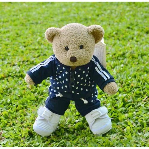 Jual TEDDY HOUSE BONEKA TEDDY BEAR PP BEAR 10 INCH - Jakarta Selatan ...