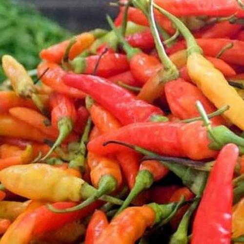 Jual Cabai Rawit / Cengek Domba Sayuran Segar Bandung - 100 gr - Kota ...