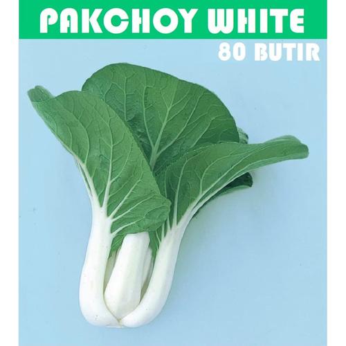 Jual Bibit Benih Biji Pakchoy White Sawi Pakchoi Pakcoy Pokcoy Pokcay ...