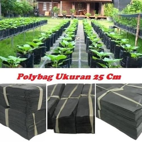 Jual Plastik Polybag 45 Cm Polibag 45 Cm Hitam Harga Eceran - Jakarta ...