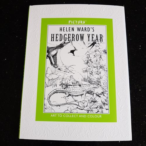 Jual Coloring Poster "Hedgerow Year" PICTURA by Helen Ward - Kota ...
