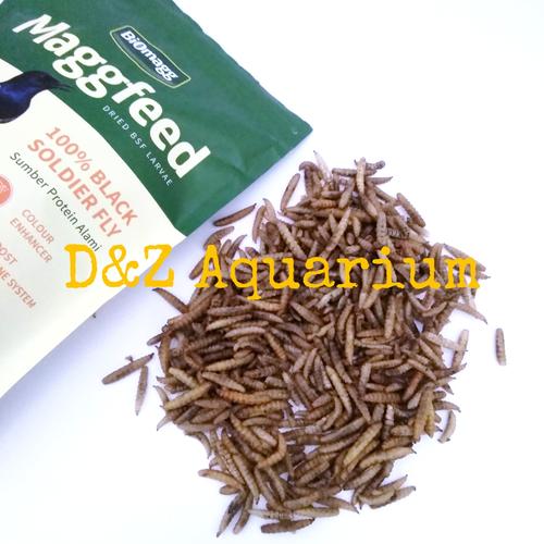 Jual Maggfeed Larva Kering BFS BIOMAGG Tanpa Proses Kimia Koi Arwana ...