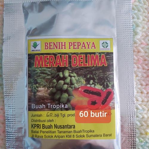 Jual benih bibit pepaya merah delima isi 60 butir - Kab. Bogor - ucu ...