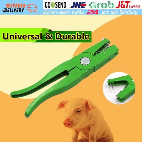 Jual Kualitas Tinggi Aplikator Eartag Ear Tag Domba Kambing Sapi Babi ...